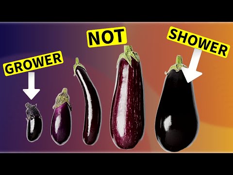 How To Be a SHOWER, Not A Grower - Doctor Reveals!
