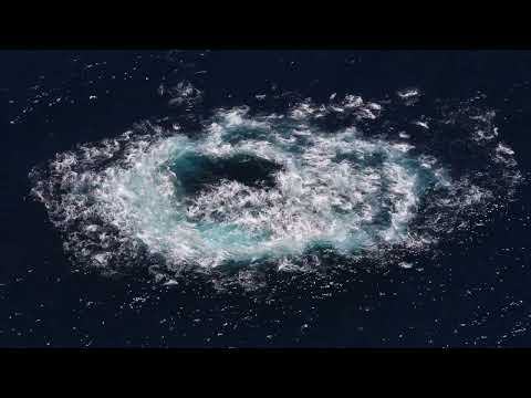 Bluefin Tuna Boiler 8-10-22