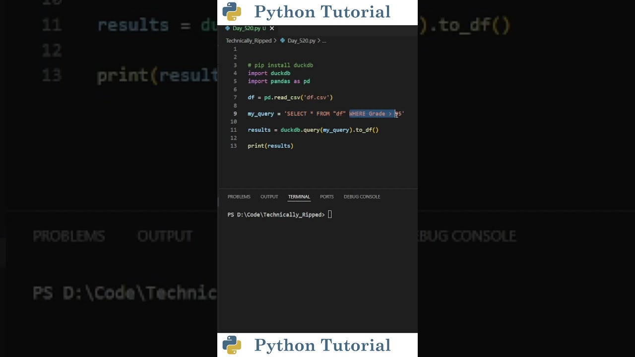 Simplify Data With DuckDB | Python Tutorial