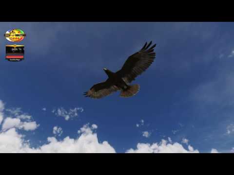 Steam Community Video Wolfquest Of Fire And Fury Episode 5