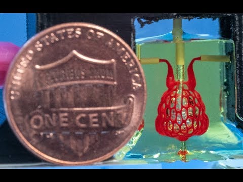 Scientists Successfully 3D Print an Organ That Mimics Lungs