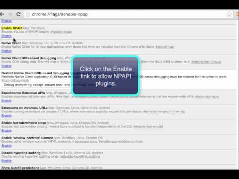 Enabling Unity Plugin Under Chrome - NPAPI Deprecation Issue