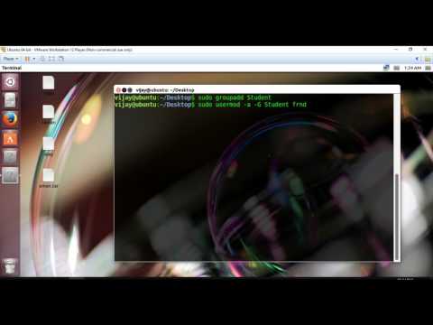 Learn Linux Tutorial 11 Groups - Mind Luster