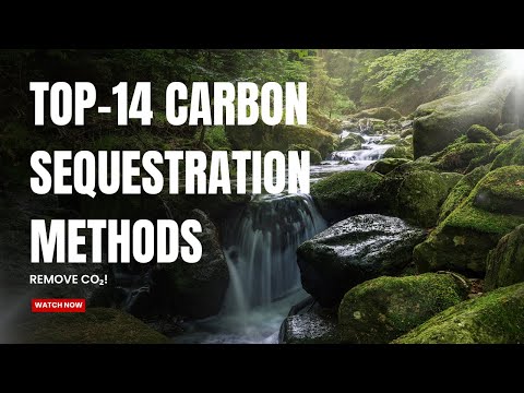 Top 14 Carbon Sequestration Methods to Fight Climate Change