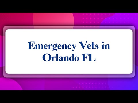 Top 10 Emergency Vets in Orlando, FL