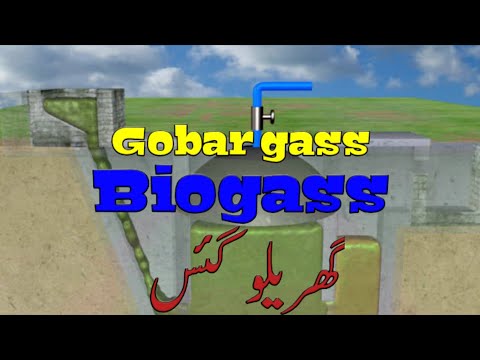 biomass power plant | biomass power plant working animation | biomass energy definition