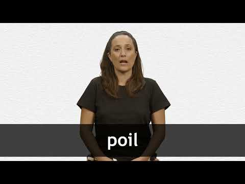 English Translation of “POIL” | Collins French-English Dictionary