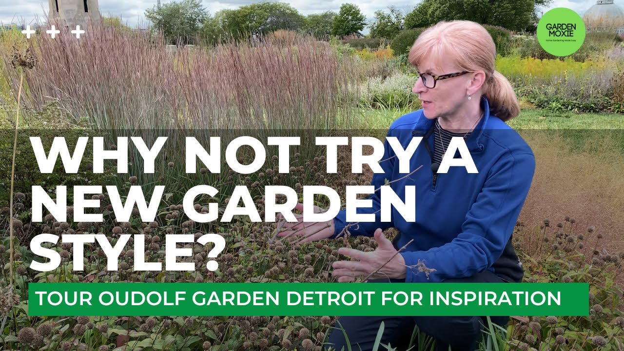 Why Not Try a New Garden Style? Let's Tour Oudolf Garden Detroit for Ideas and Inspiration