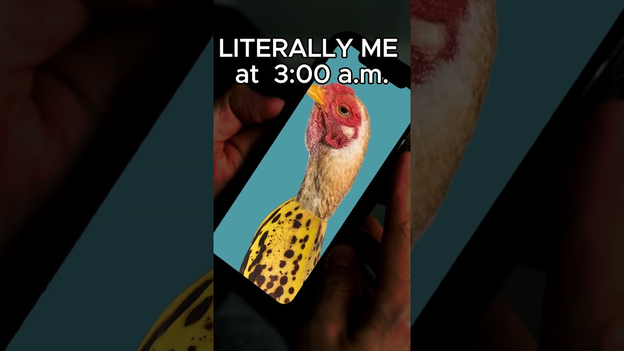 When You Finally Find Yourself… at 3AM #chickenbanana #3am #literallyme #scroll  #memes