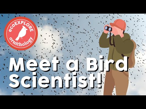 Becoming an Ornithologist!