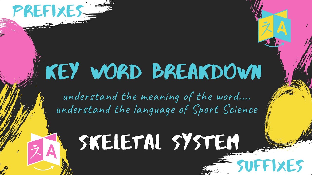 Physical Educ8or: Academic PE: Skeletal System Key Word Breakdown