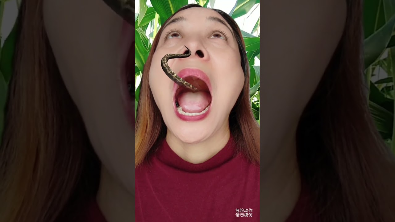 v0200fg10000d1gat0fog65hat2160dg