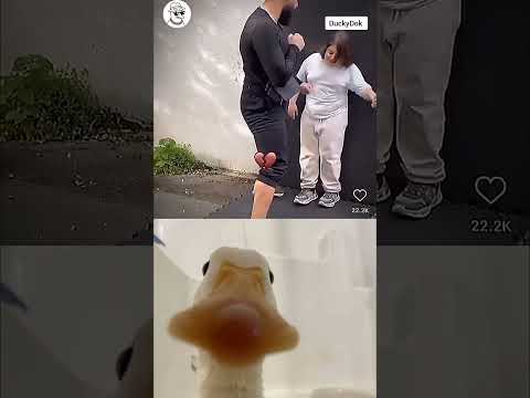 That s gif🤣 #shorts #funny