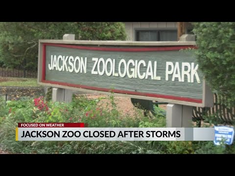 Jackson Zoo closed Friday after severe weather damage