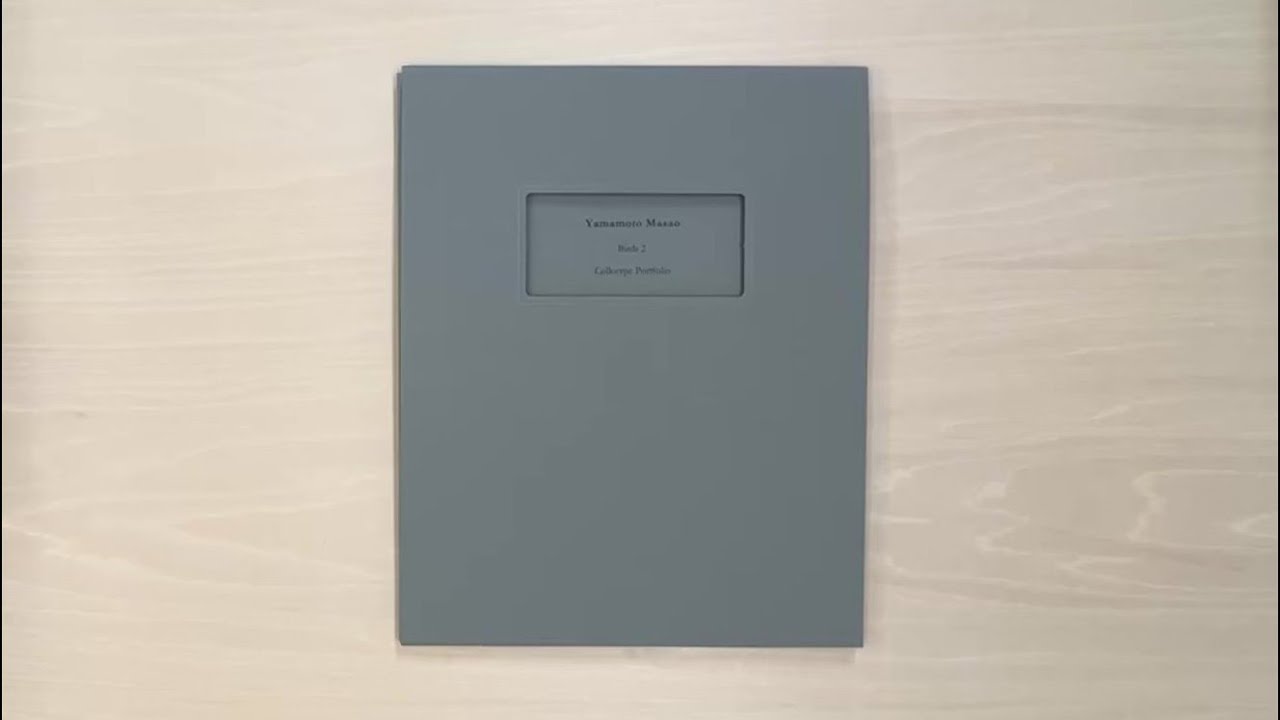 Yamamoto Masao : Birds 2