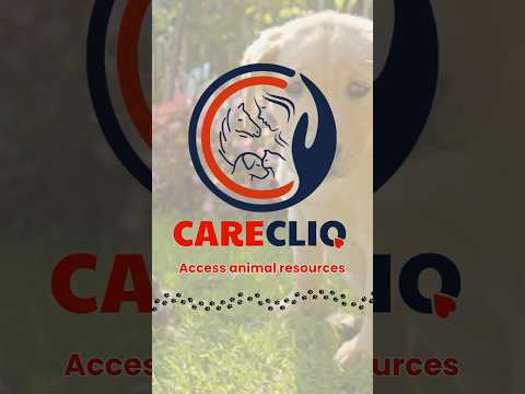 Access Animal Resources