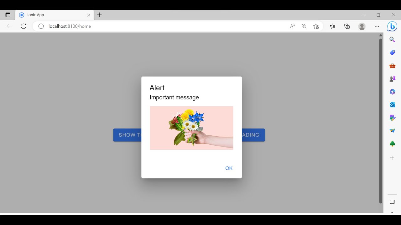 Ionic 7 : How to add image or html tags in Ionic controls Alert, Toast and Loading