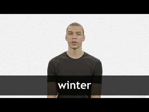 WINTER definition and meaning | Collins English Dictionary