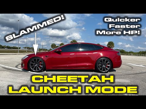 This Is How Low Tesla Model S Gets in Cheetah Stance Launch Mode ...