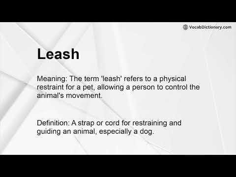 Leash Meaning