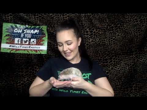 Sneak peek of some mammals of Wild Times Exotics