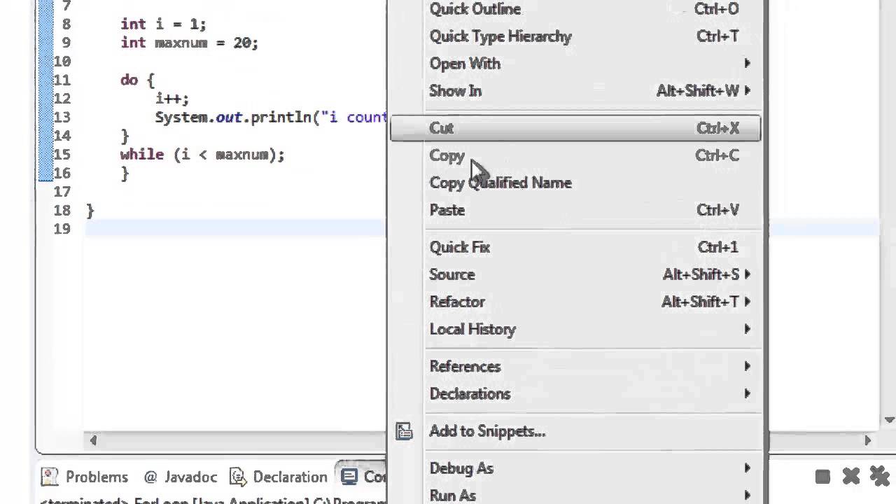 Java Tutorial 5: While and Do While Loop