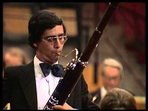 Fagot | Muzički Instrumenti