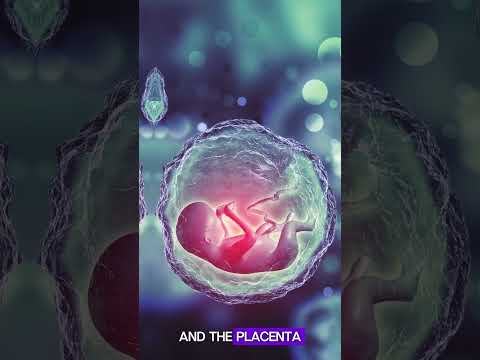 🤰 Planning for a healthy pregnancy?