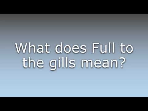 What does Full to the gills mean?