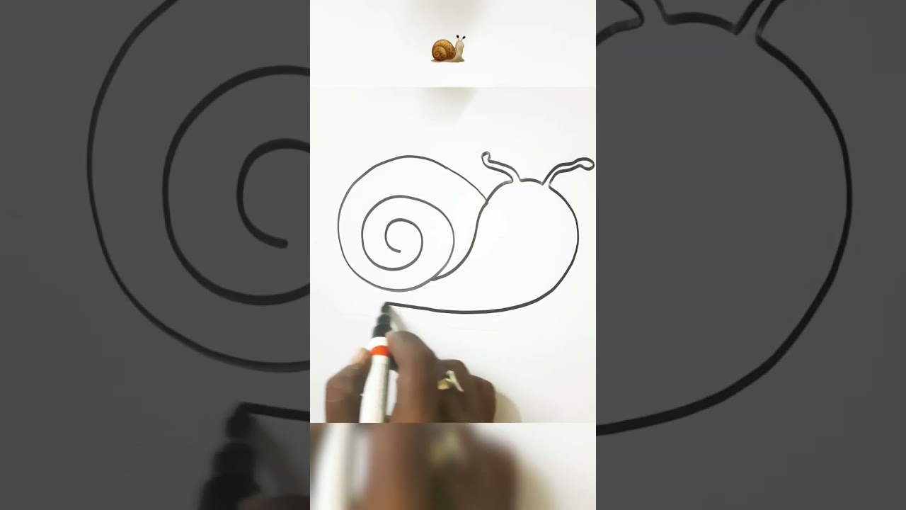 Cute 🐌 Snail Drawing #snail #cute #shorts #howto #kidsvideo