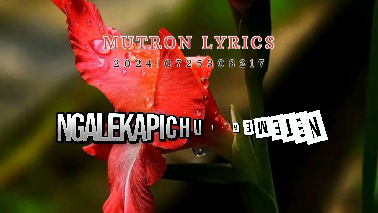 Lyrics & Translations of CHOMON by Samkistar | Popnable