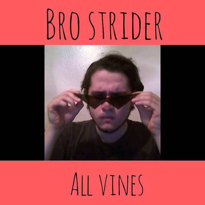 ALL BRO STRIDER VINES!
