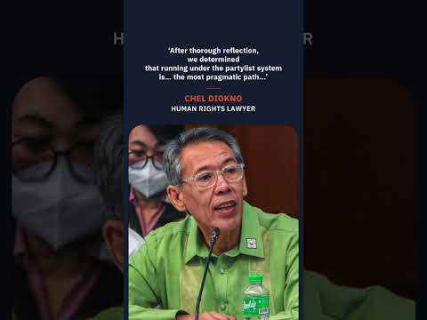 Akbayan names Chel Diokno as first nominee in 2025 reelection bid