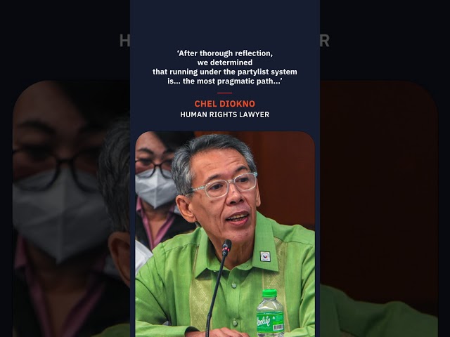 Akbayan names Chel Diokno as first nominee in 2025 reelection bid