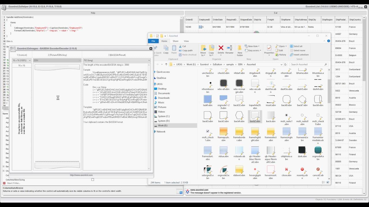 Exontrol ExImages - BASE64 Encoder/Decoder Tool
