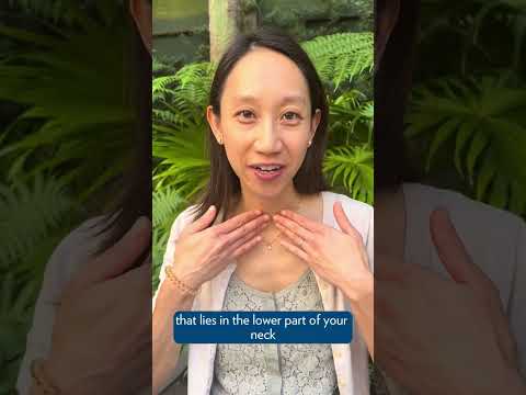 What is the Thyroid?