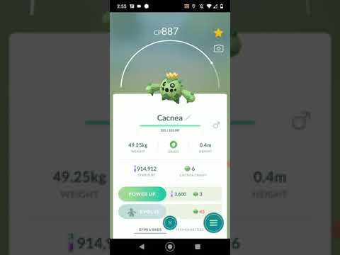 How to see a Pokemons IV in Pokemon Go