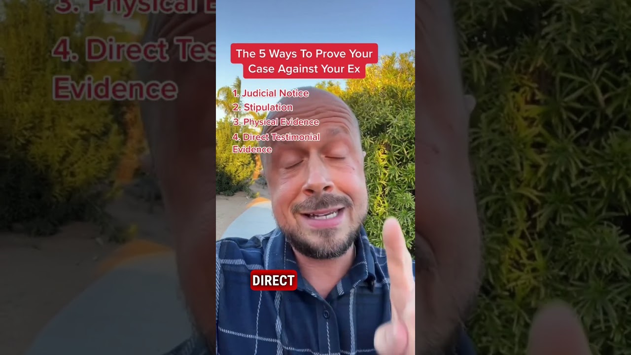 The 5 Ways to prove your case in your divorce or child custody battle #childcustody #divorce