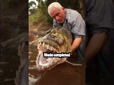 Why Did River Monsters Really End? Jeremy Wade's Final Catch Explained