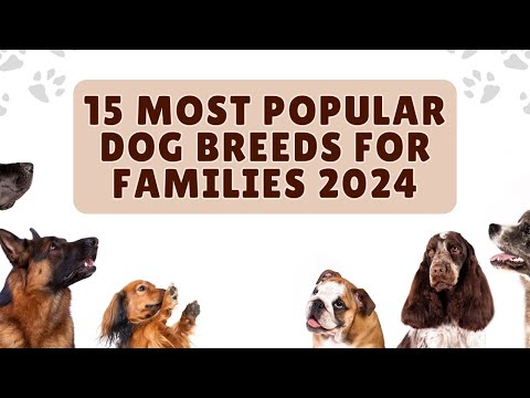 Top 15 Most Popular Dog Breeds for Families in 2024