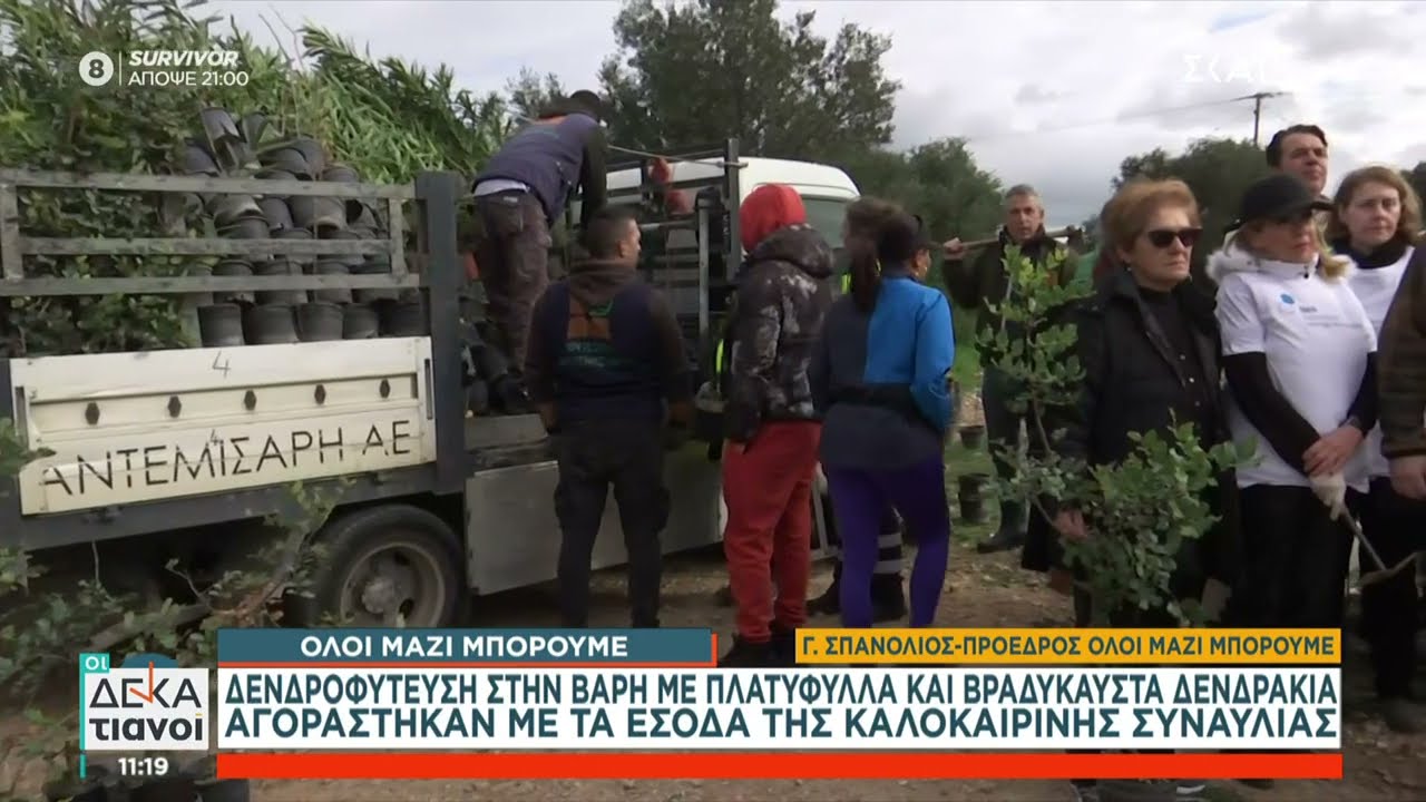Πραγματοποιήθηκε η δενδροφύτευση στο Χέρωμα της Βάρης - Mesogianews