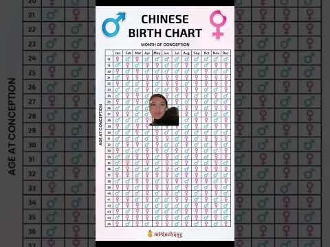 Chinese birth chart | Does it work?