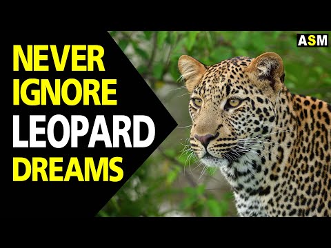 What does Leopard dream meaning | Dreaming of Leopard | Leopard dream interpretation