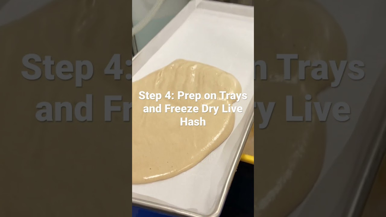 How It’s Made: Solventless Full Spectrum Live Hash Rosin Cartridges from Flower Harvest to Cartridge