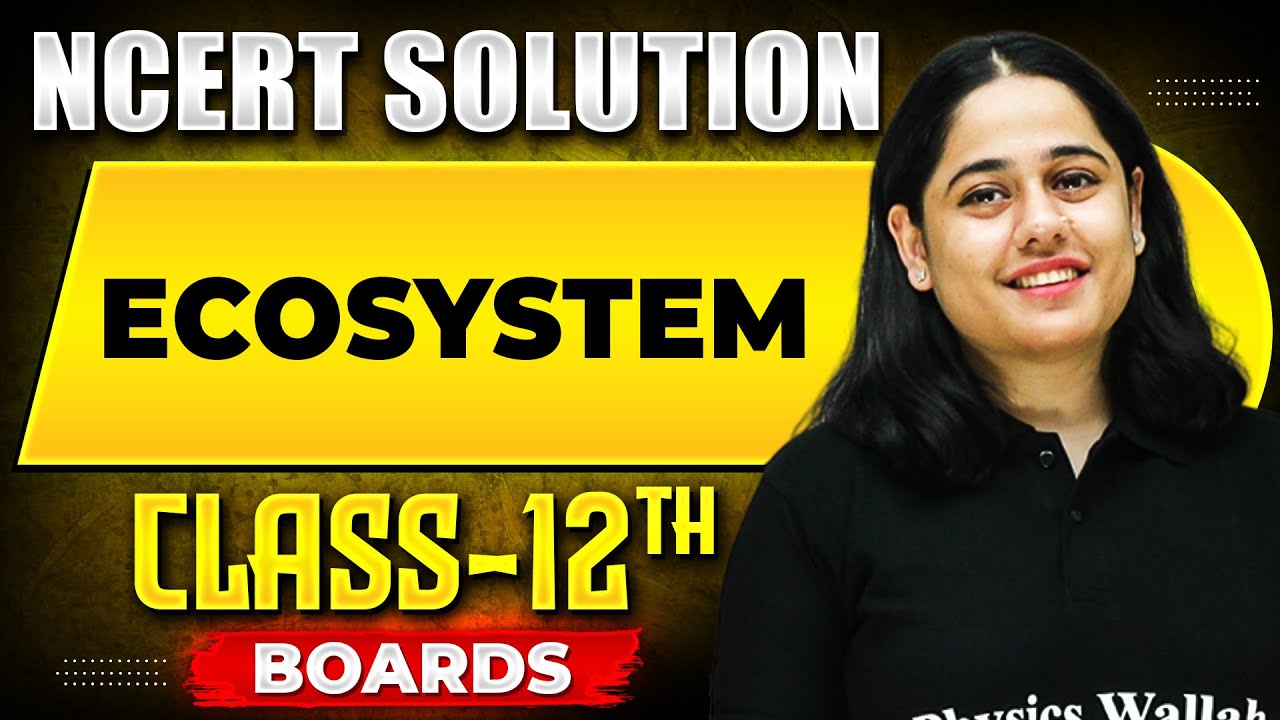 ECOSYSTEM - NCERT Solutions | BOTANY Chapter 06 | Class 12th Boards