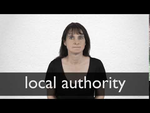 LOCAL AUTHORITY definition and meaning | Collins English Dictionary