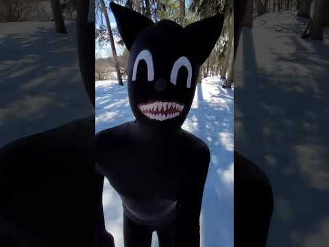 CARTOON CAT or CARTOON DOG? which is your favorite?πββ¬π