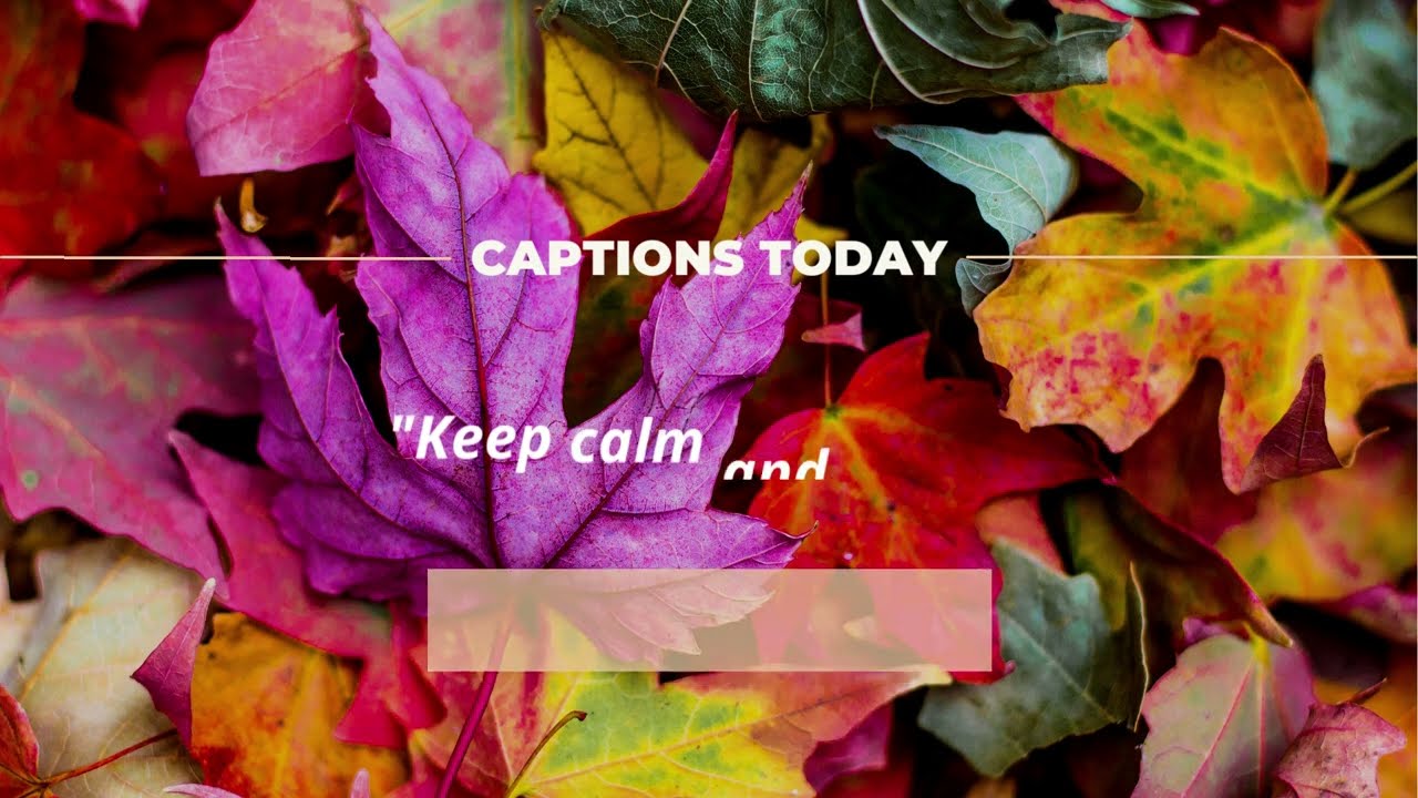Autumn Captions For Instagram |  #Autumn #Captions#Instagram #InstagramCaptions