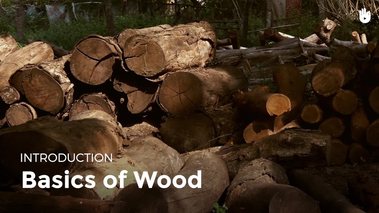 Basics of Wood - How to Be a Woodworker | Sikana