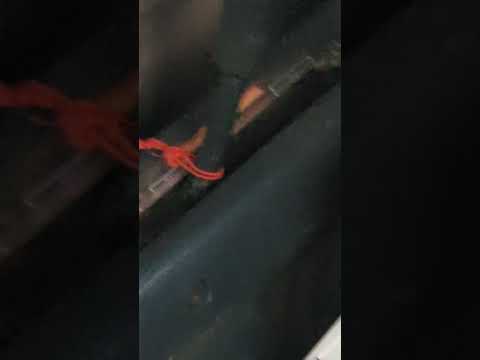 1998 chevy blows carrier Bearing going down the road